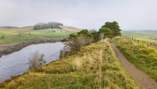 Browse | Knowledge.ca